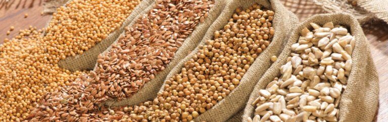 Mehltypen Tabelle: Zahlenangaben und Verpackungshinweise verstehen